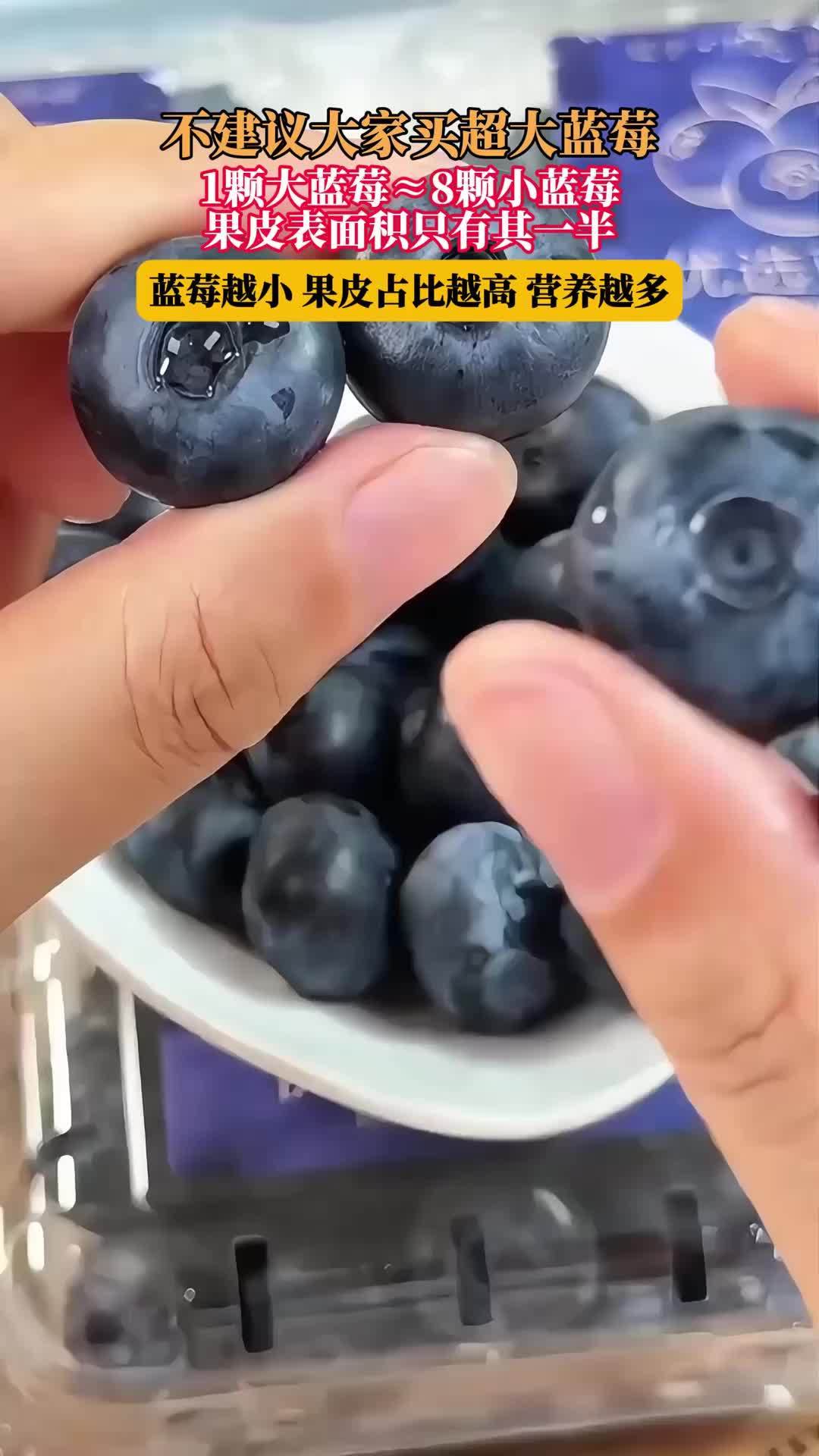 不建议大家买超大蓝莓,1颗大蓝莓≈8颗小蓝莓