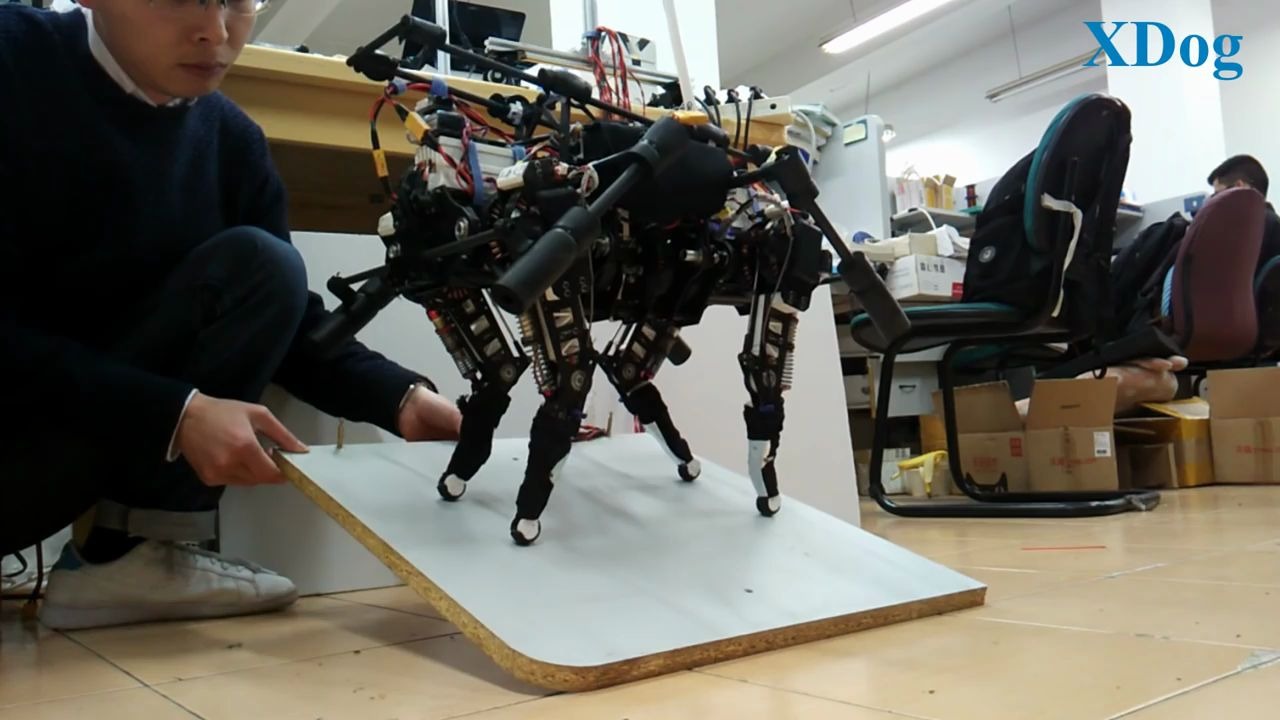 【毕设】XDog 从电路板、整机机械结构到运动控制