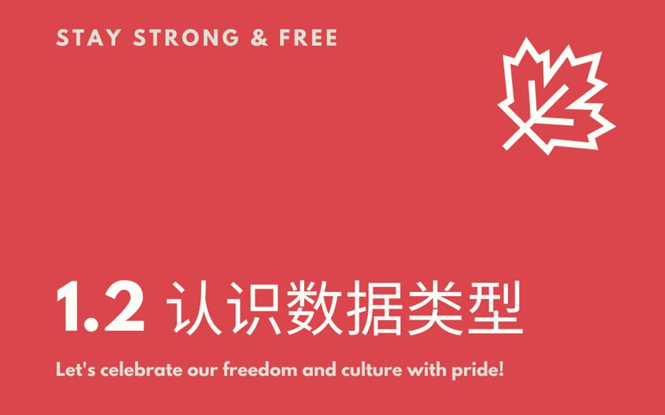 1.2 认识数据类型