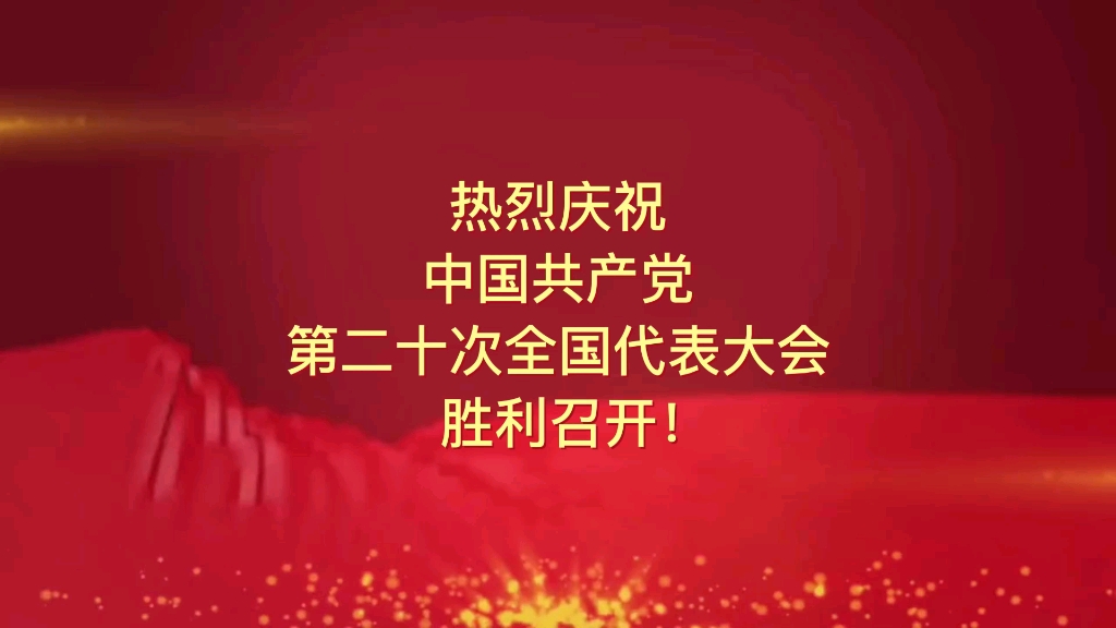 热烈庆祝中国共产党第二十次全国代表大会胜利召开!时代青年茂风华,...