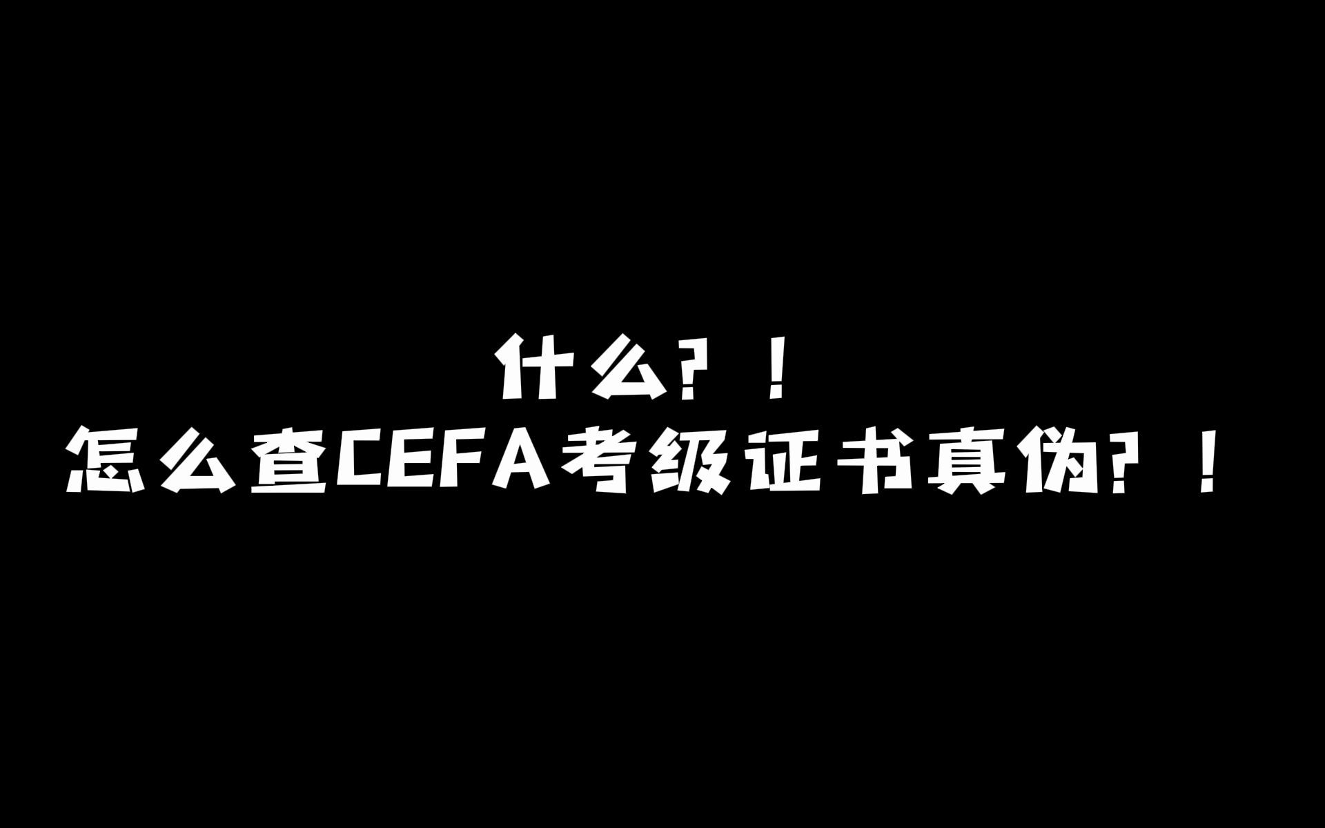 CEFA考级证书查询