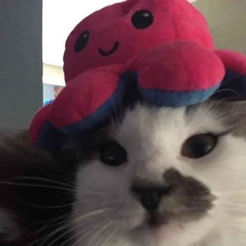 用卡特上王者再改名 