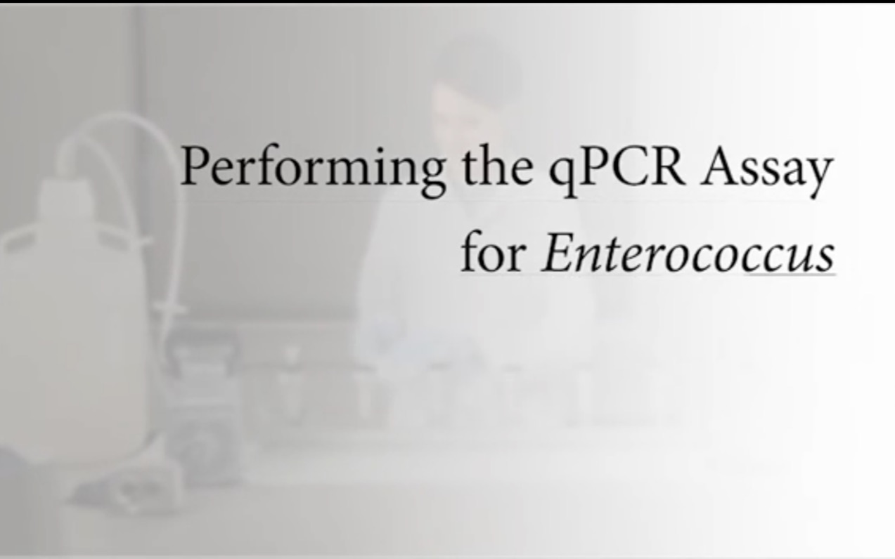 肠道菌群qPCR实验操作讲解