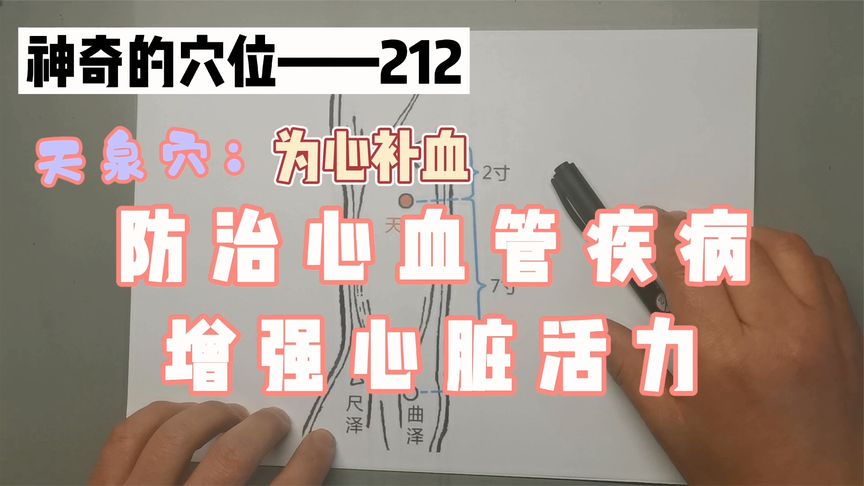 神奇的穴位——天泉可补心血,增强心脏活力,对心血管很有益处。