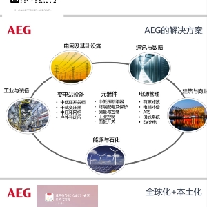 GE通用电气合资开关 