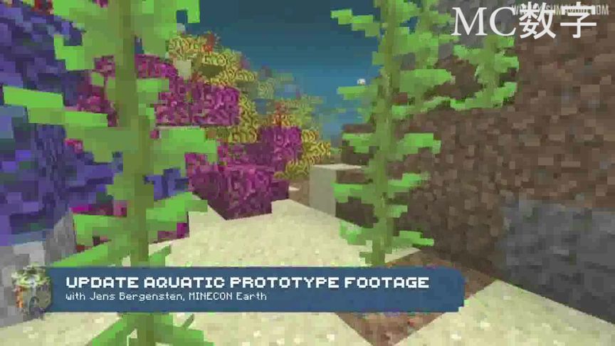 我的世界海洋更新:海豚 珊瑚 海洋生物群系 水流 还有更多!