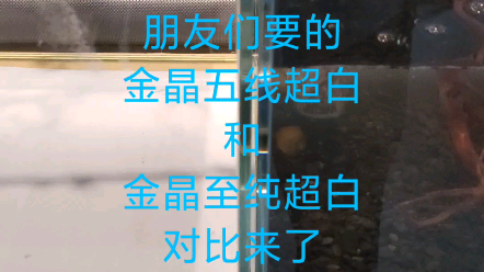 ...普通超白和至纯超白的对比来了,同样都是300*300*300*5mm的玻璃。