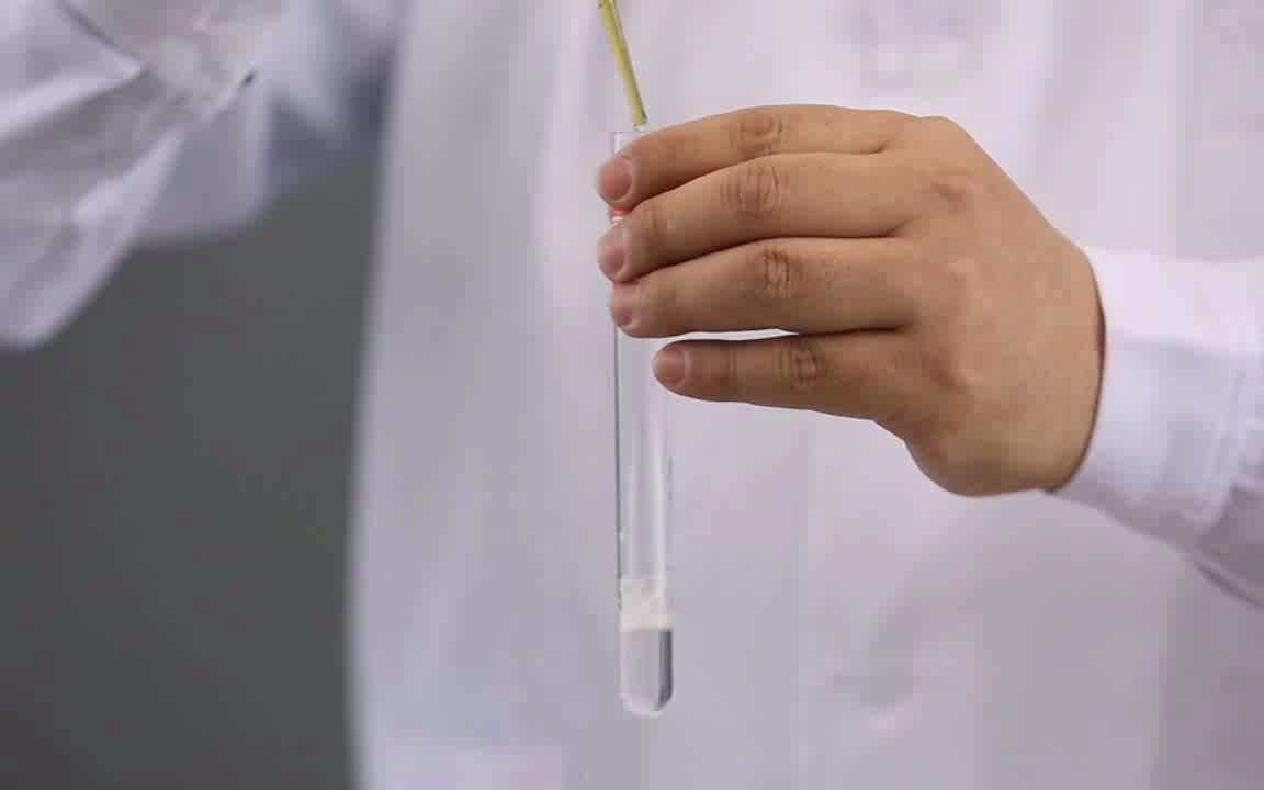 2.检测生物组织中的糖类、脂肪和蛋白质实验视频