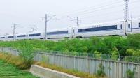 【火车出行】和谐号CRH380系列四种车型,你更喜欢哪个?