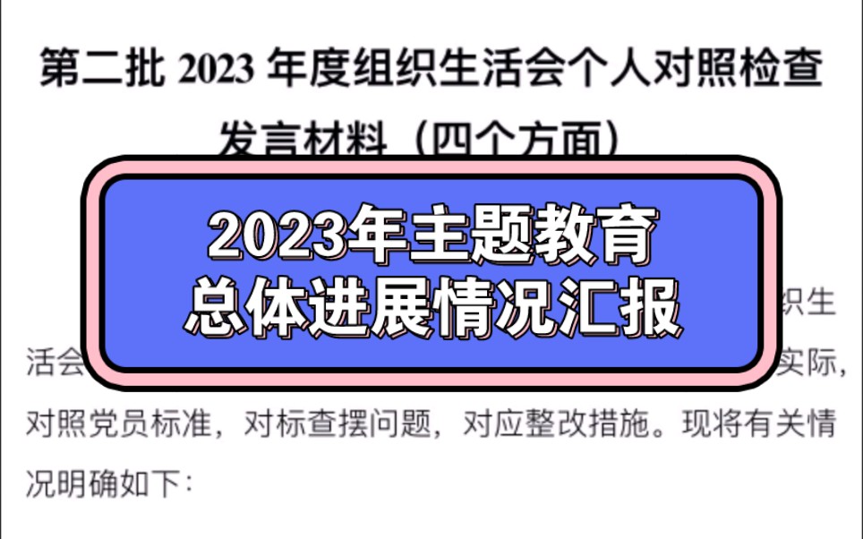 2023年主题教育总体进展情况汇报