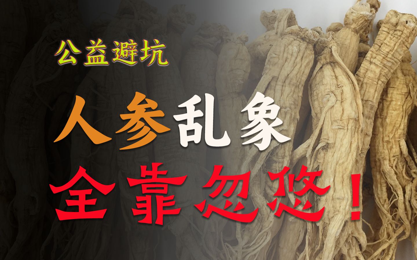 人参市场乱象,全靠忽悠!人参越粗越好吗?