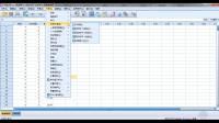 SPSS教程⑥-比较均值-均值