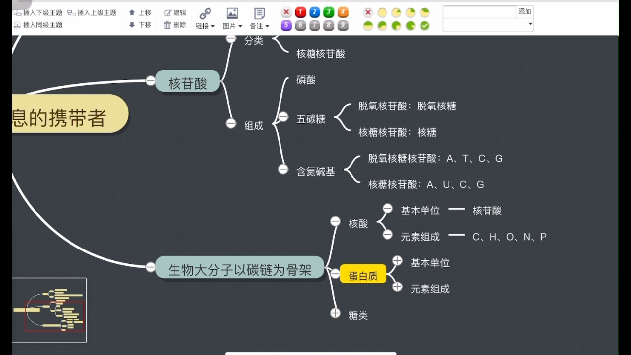 【高中生物必修一】2.5 核酸是遗传信息的携带者 思维导图