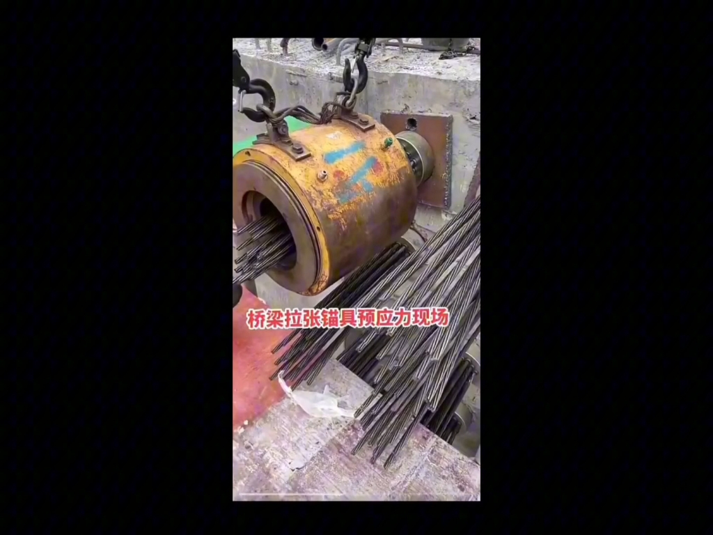镀锌钢绞线生产厂家