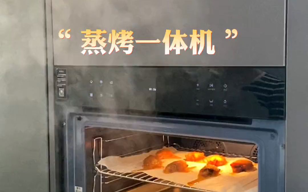 凯度TDPro二代蒸烤箱,真的是太好用了!