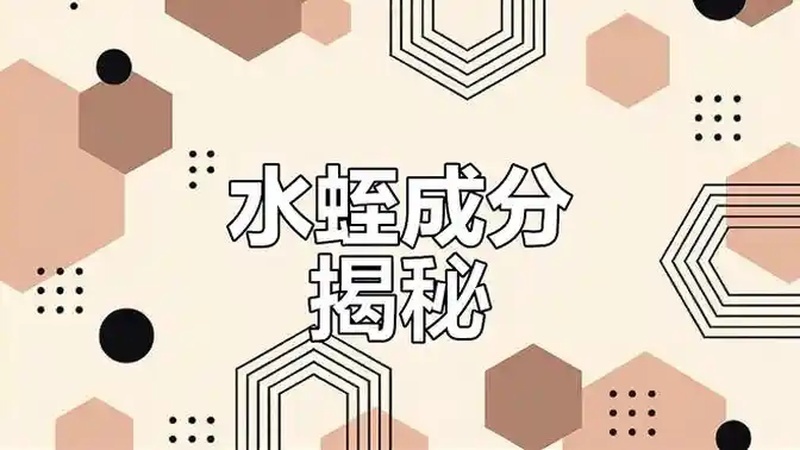 水蛭氨基酸的神奇作用:调节代谢、保护神经与心血管健康