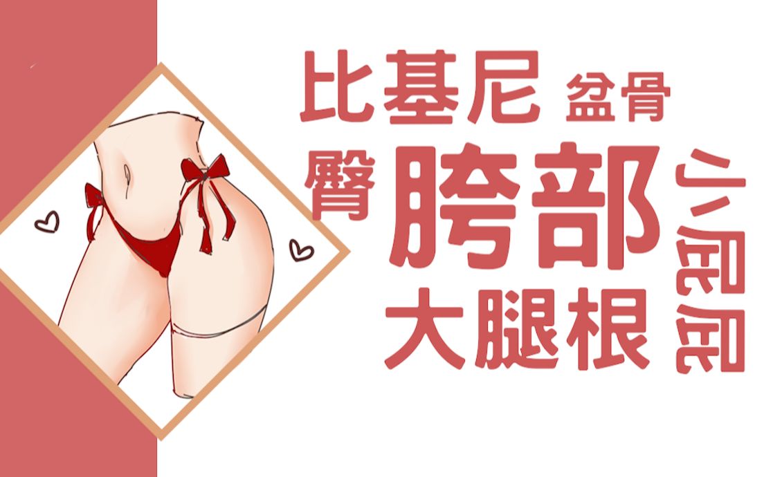 胯部结构,盆骨解刨学结构,臀部,胯部画法,小屁屁怎么画,