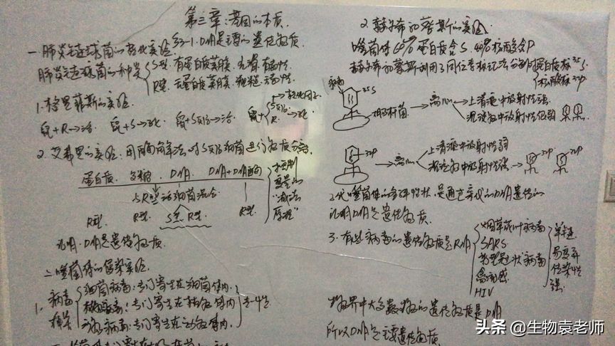 DNA是主要的遗传物质