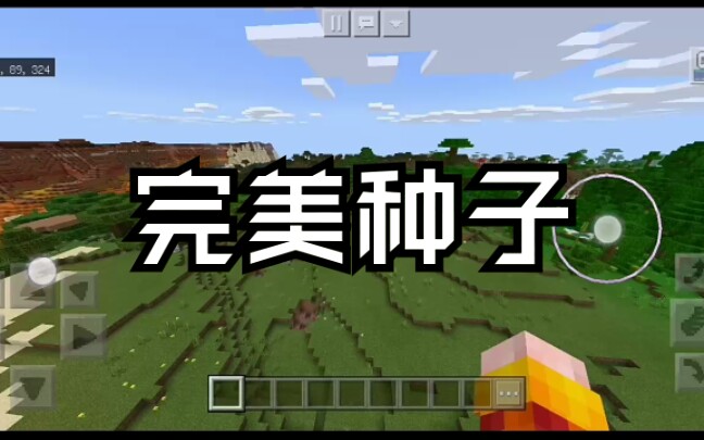 我的世界有史以来最完美的种子