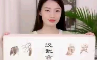 汉武帝药枕,千年传承,列入非遗。100多次药理实验,中医熏治,孝敬爸妈,...