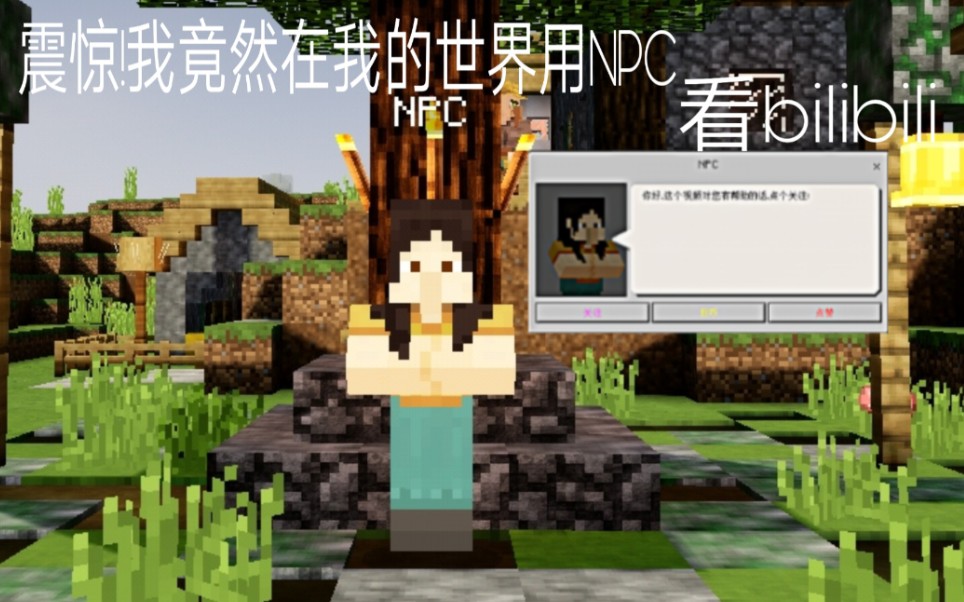 震惊!我竟然在我的世界用NPC看bilibili?我的世界NPC教程