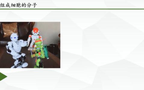 高中生物必修一第二章第一节组成细胞的元素和化合物