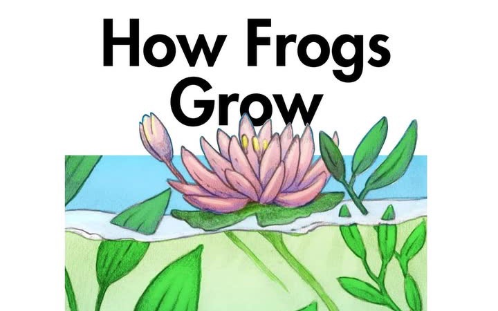 RAZ英文绘本阅读 C级别更适合小学生How frogs grow