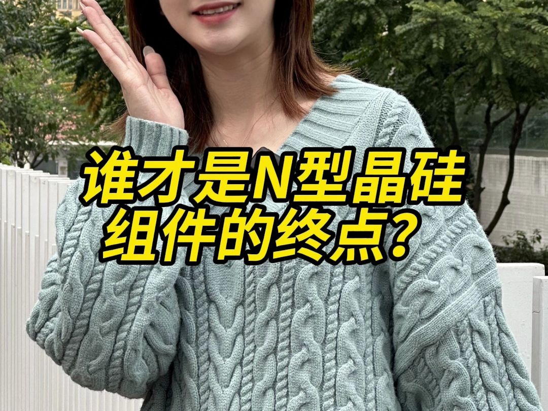 谁才是N型晶硅组件的终点