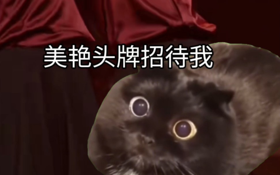 【猫meme】我粉上然竣+磕cp的历程