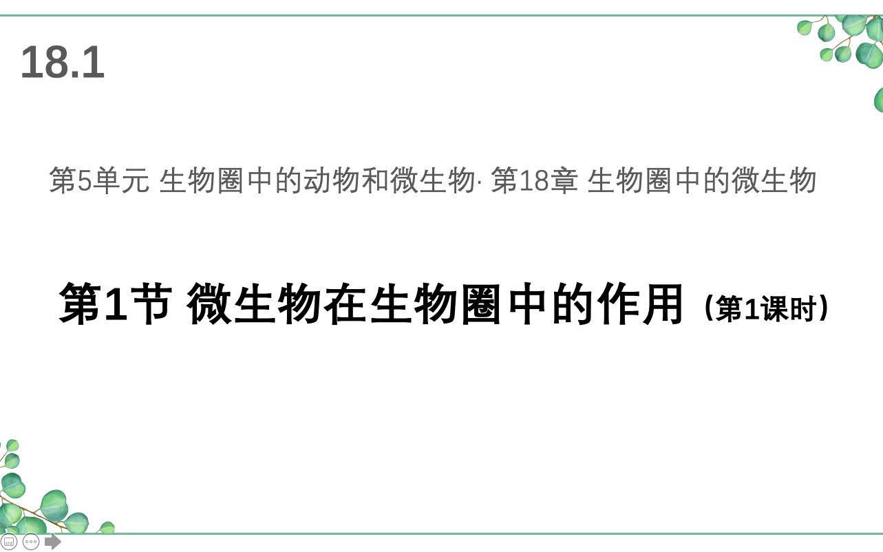 【初中生物】北师大生物八年级上-18.1微生物在生物圈中的作用(上)