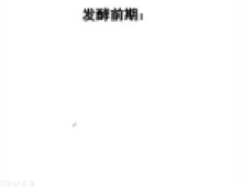 金玉微课生物选修一专题1课题3:制作泡菜并检测亚硝酸盐含量
