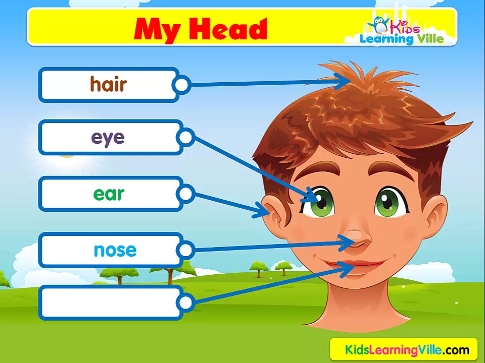 【宝宝学英语】parts of your body 从认识自己的身体部位开始