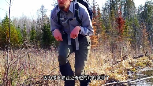 男子在河边模仿猴子做了个动作,竟吸引来许多野生动物,太神奇了