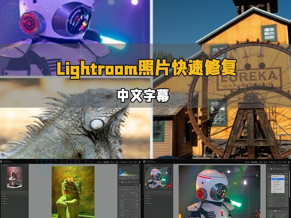 【中文字幕】Lightroom Classic照片快速修复小技巧训练视频教程