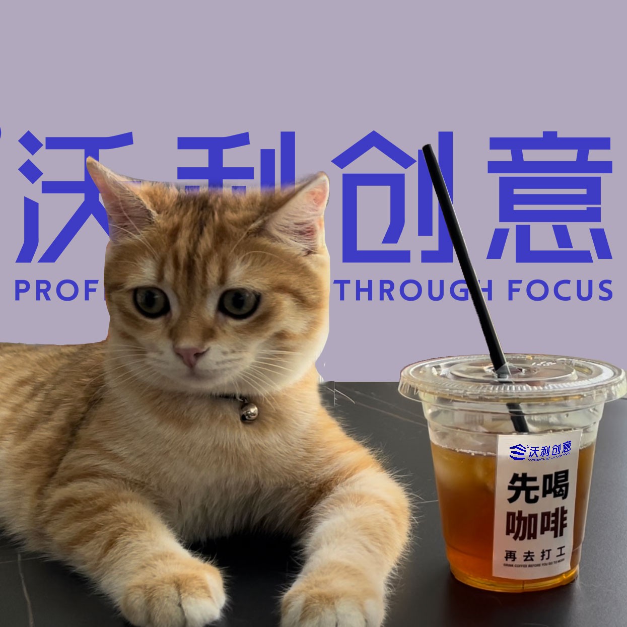 沃利创意 