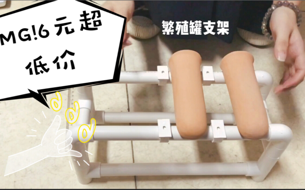 【水族】自制PVC管水族繁殖罐支架,底栖胡子大帆鱼异型等鱼缸繁殖...