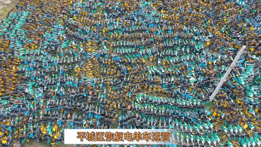 你们要的小红小蓝小黄回来了!规范用车,带安全帽,有序停放。