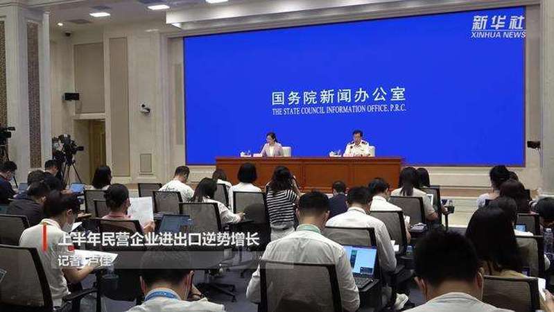 上半年民营企业进出口逆势增长