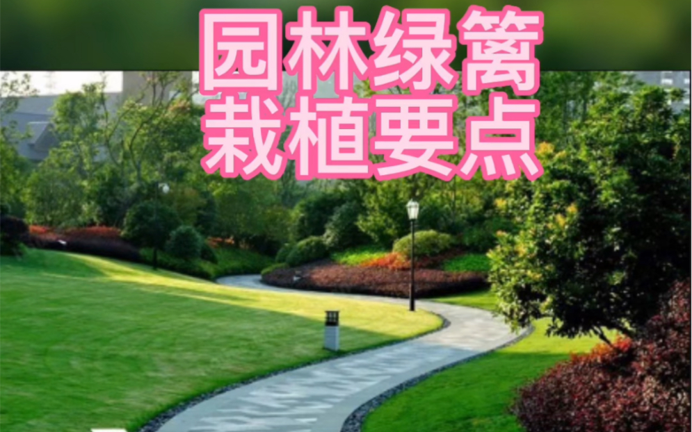 园林绿篱栽植技术要点,大家一起来学习评论转载