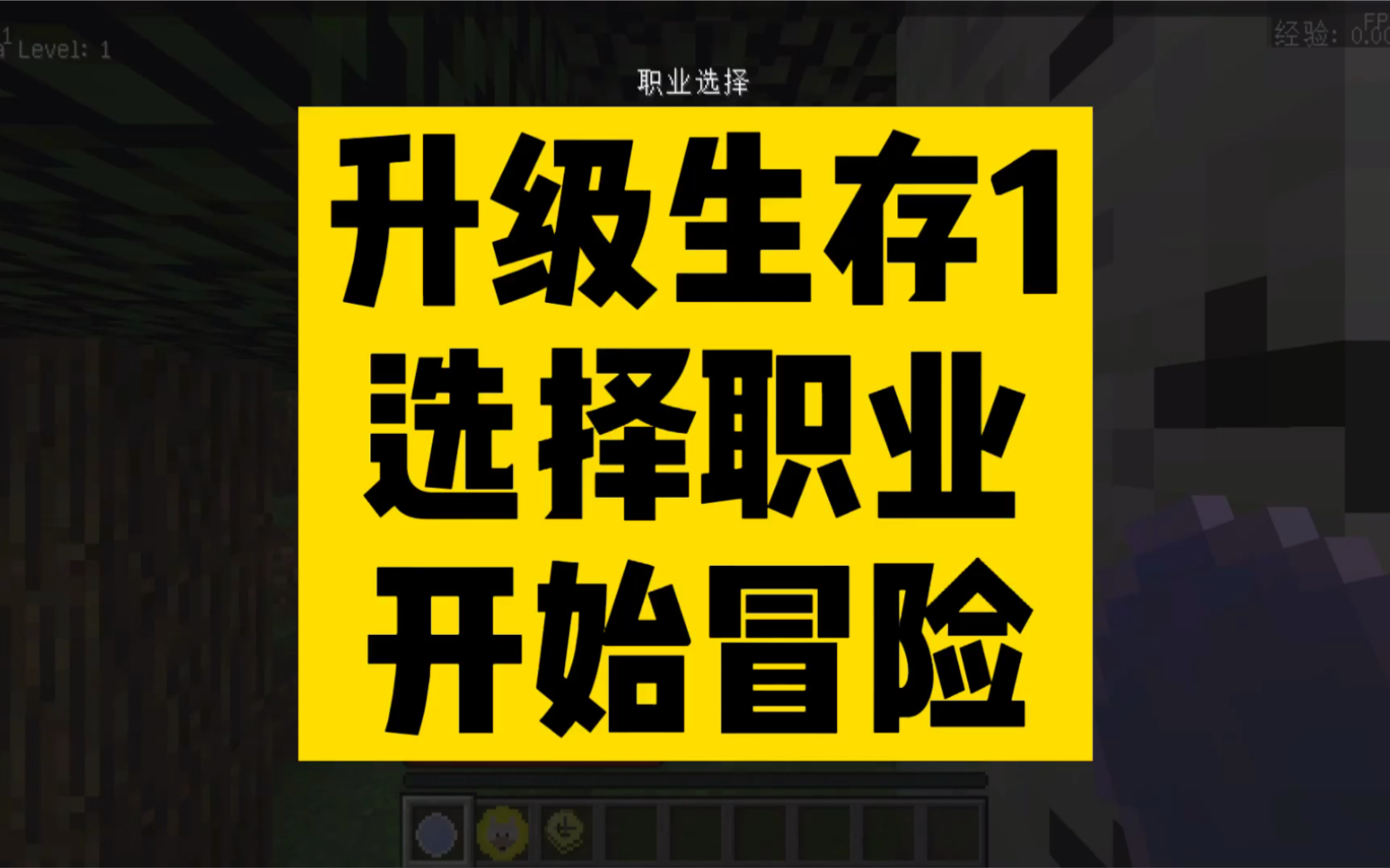 叶枫我的世界升级生存1 选择职业开始冒险