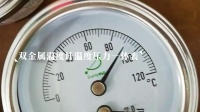 双金属温度计温度压力一体表