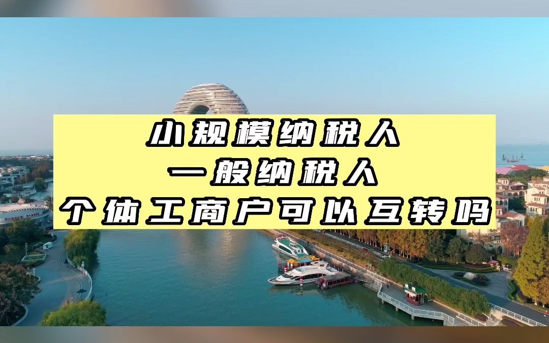 小规模纳税人、一般纳税人、个体工商户可以互转吗?#企业老板 #税务...