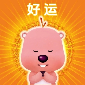 futureJinjr 