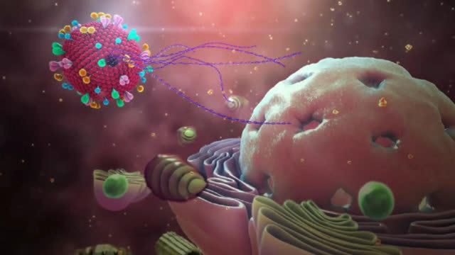 硬核科普:3分钟深入了解冠状病毒