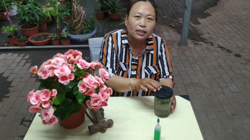 简单几步自制生根水,效果明显,用来扦插促根最好了