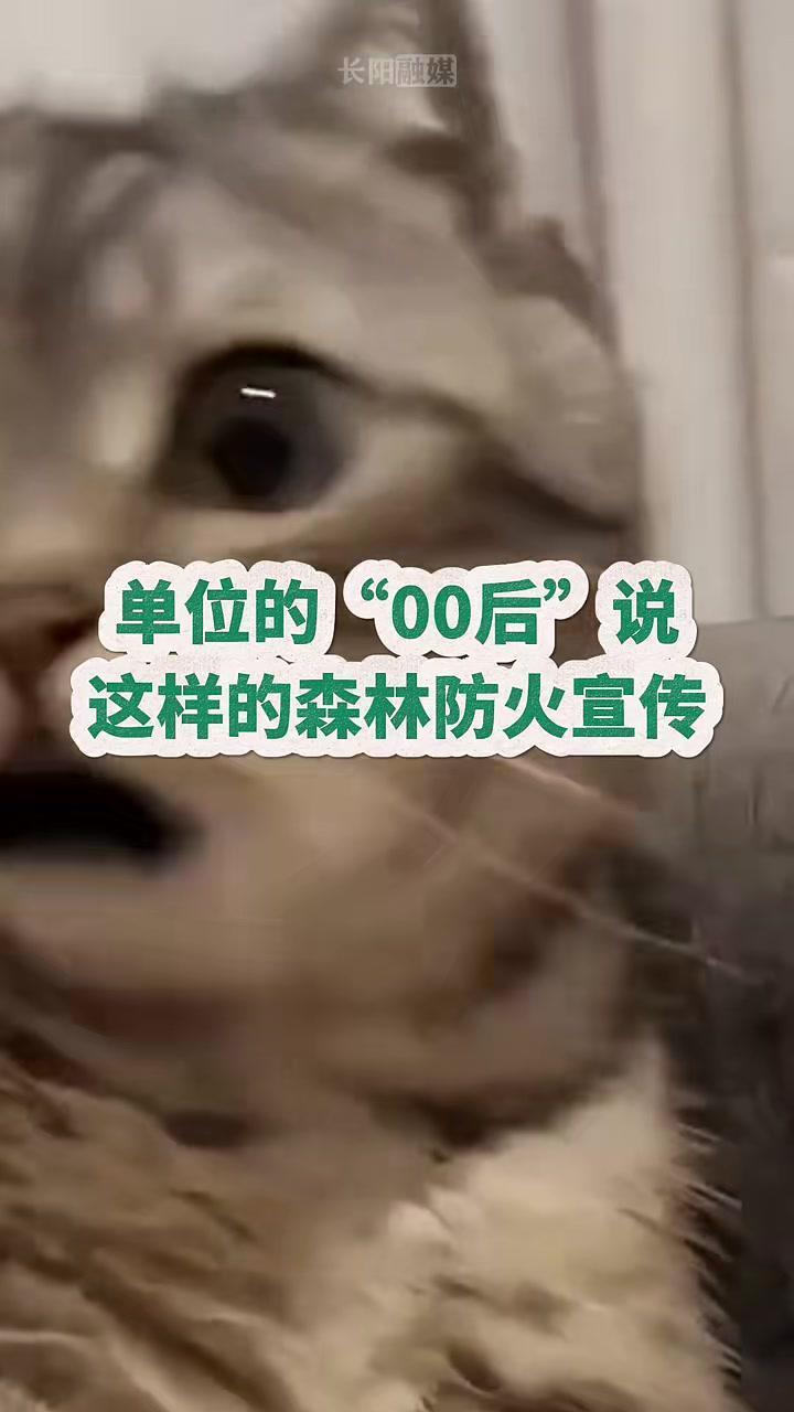 单位的"00后"说这样的森林防火宣传才有人看,是真的吗?#长阳#森林防火