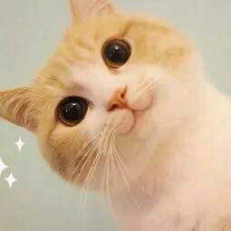 彼岸花落满地伤 