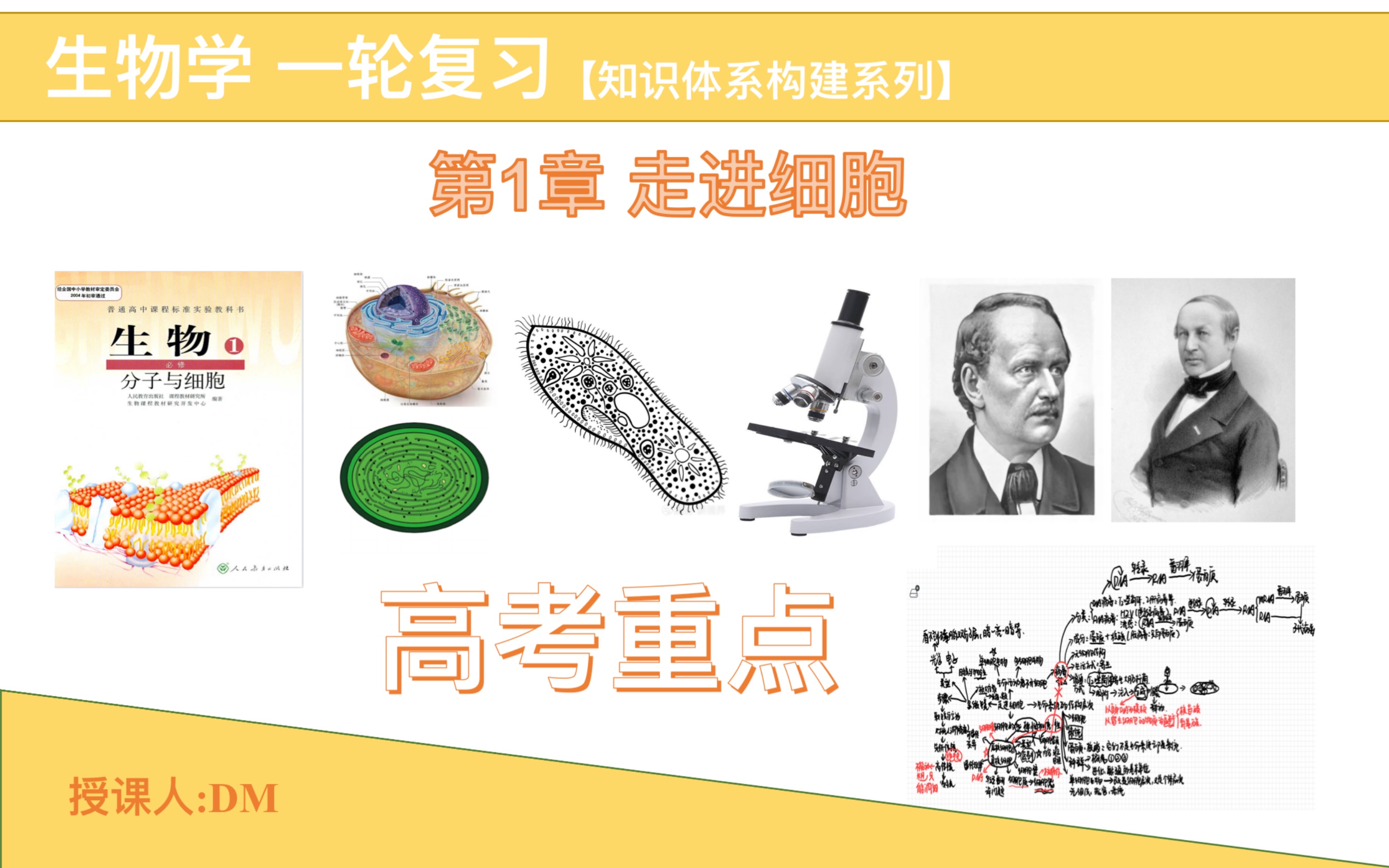 一轮复习 知识体系 第1课时 走进细胞