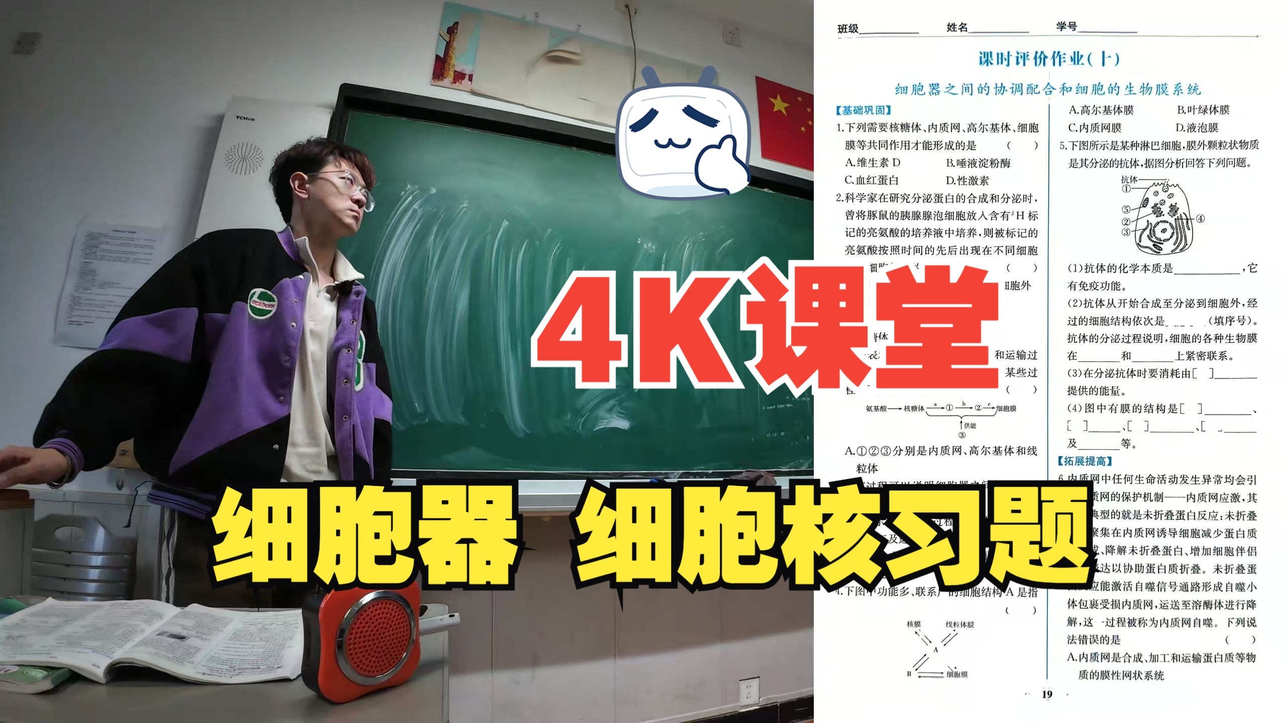 ...3.3分泌蛋白细胞核 课时练 生物学 必修1 同步网课 分子与细胞全册...