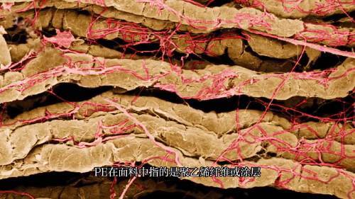 揭秘PE面料:防水透气还抗菌?这种神奇材质你了解多少